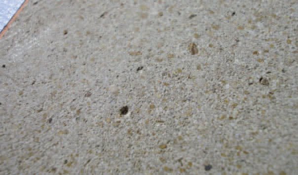 Adjuvant accélérateur - CHEMREX® MV-BLOCK - BASF USA