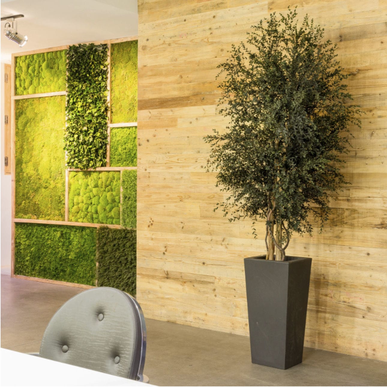 Plante ornementale stabilisée - FOLIA - BY NATURE - de taille moyenne ...