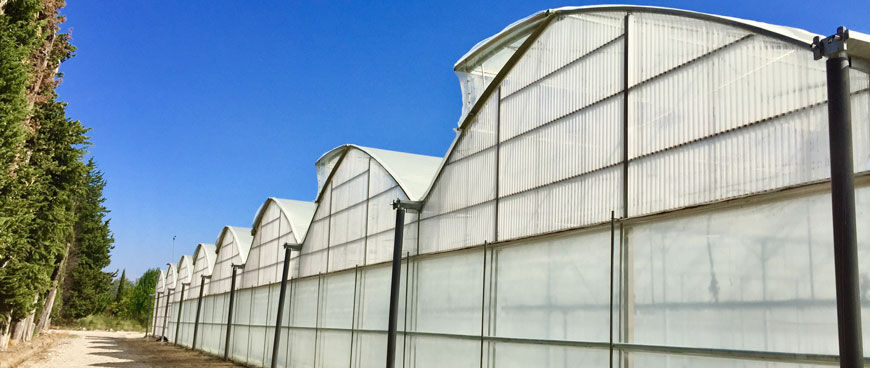 Serre professionnelle / structure en acier - MULTIART - Europrogress - Vidéos