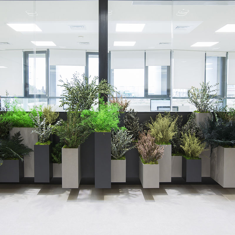 Plante ornementale stabilisée - MOSS&PLANTS PLANTERS - Greenarea - de ...