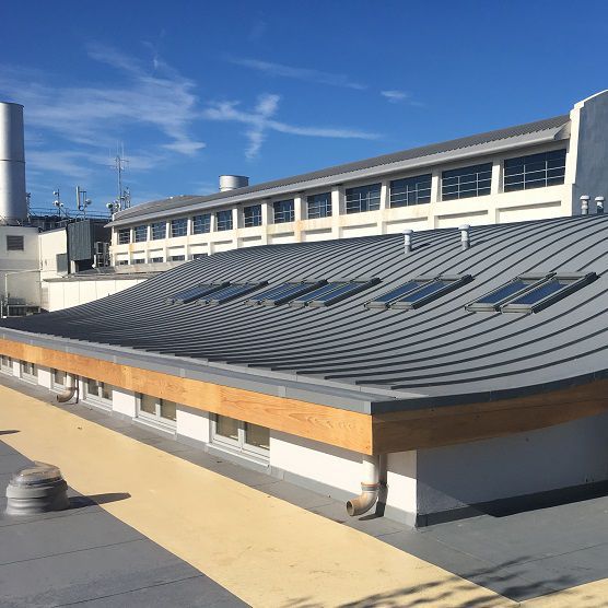 Membrane d'étanchéité de protection - ALKORPLAN DESIGN - RENOLIT ...