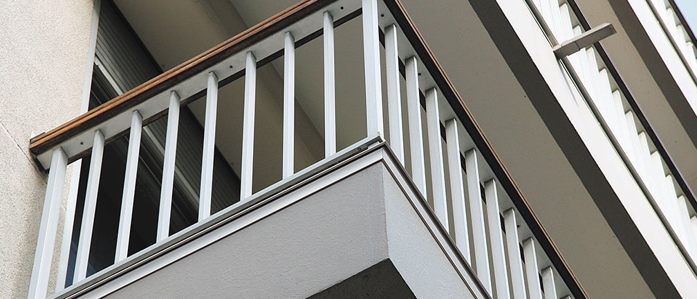 Larmier - DALLNET C® - dani alu