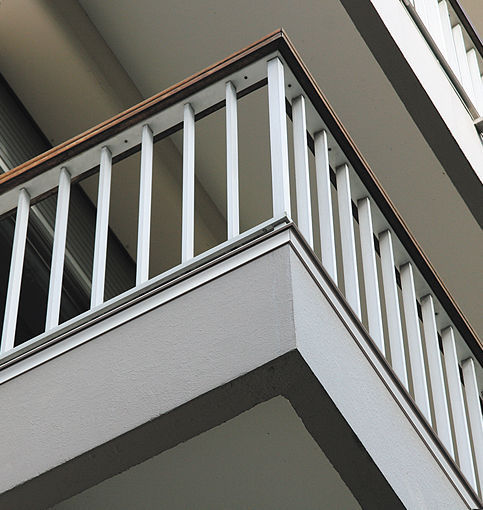 Larmier - DALLNET C® - dani alu