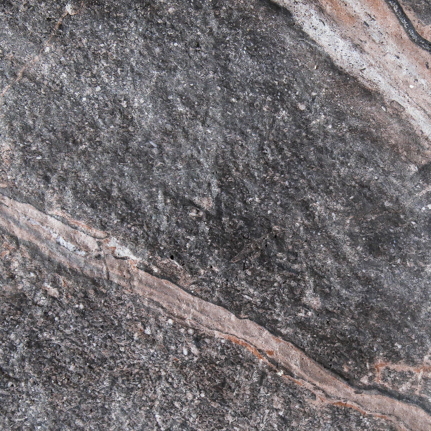 Carrelage aspect granite - FLAMED SESAME - PHOMI - en argile modifiée ...