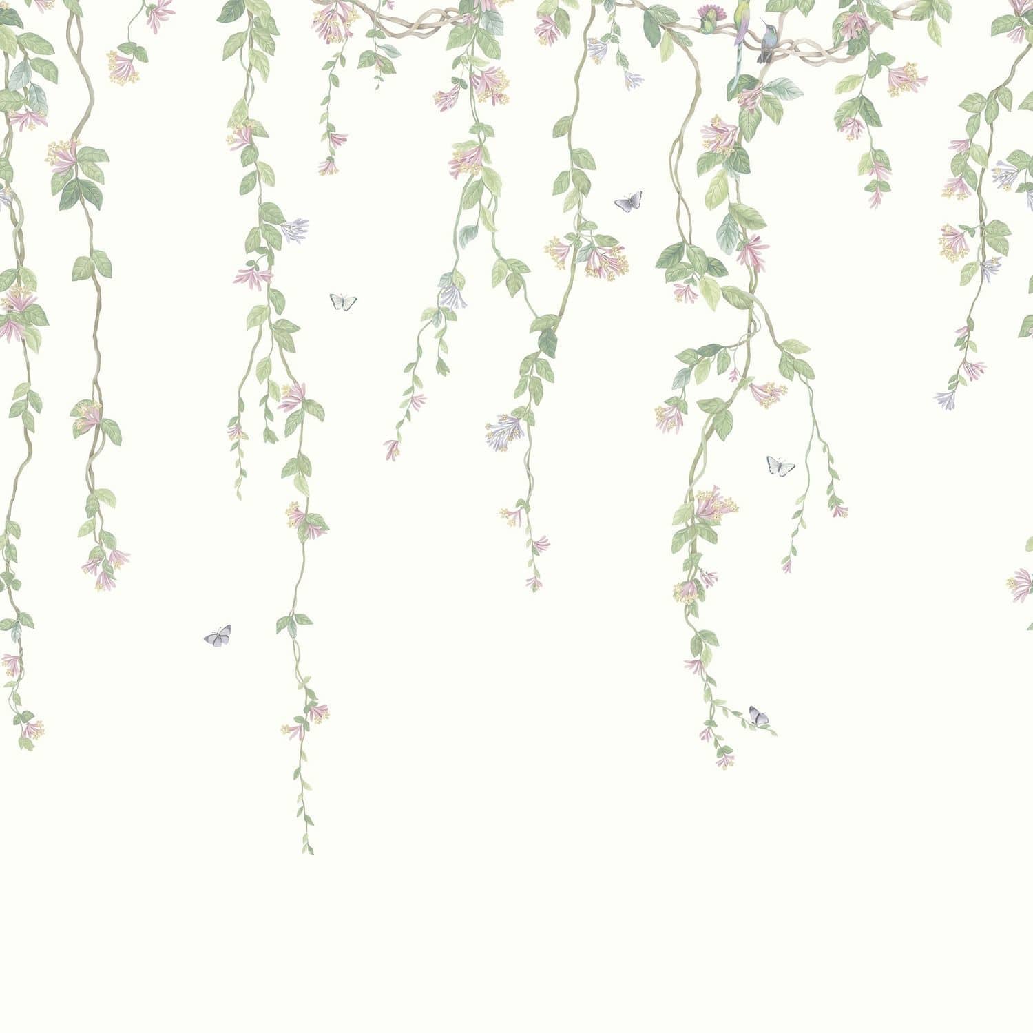 Papier peint contemporain - Hummingbirds Flora - Cole&Son - en tissu ...