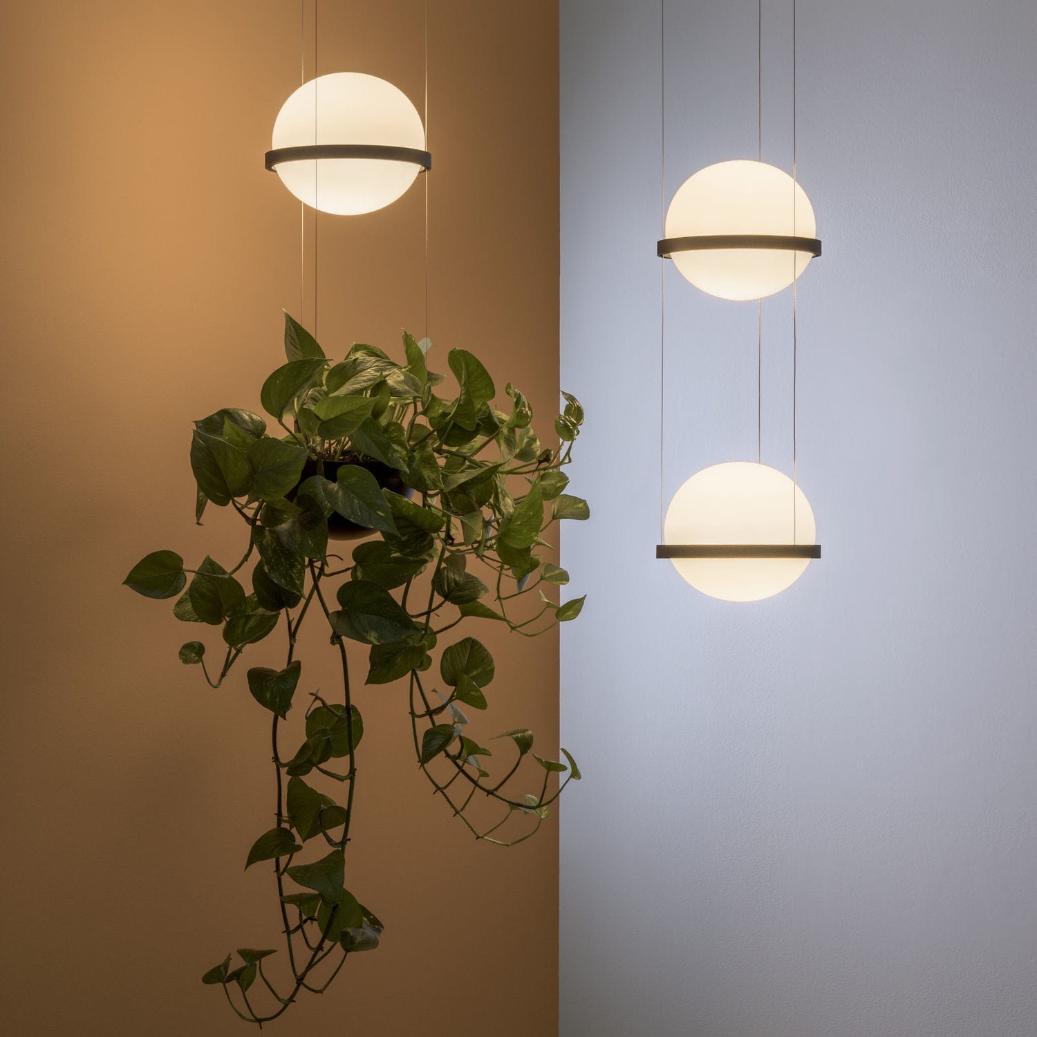 Suspension - Palma - VIBIA LIGHTING - en aluminium / en verre soufflé / contemporaine