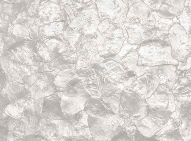 Revêtement mural en nacre / résidentiel / texturé / brillant - HALF ...