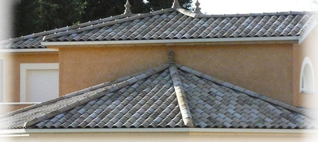 Tuile mécanique / canal / en terre cuite - OMEGA STE FOY - EDILIANS