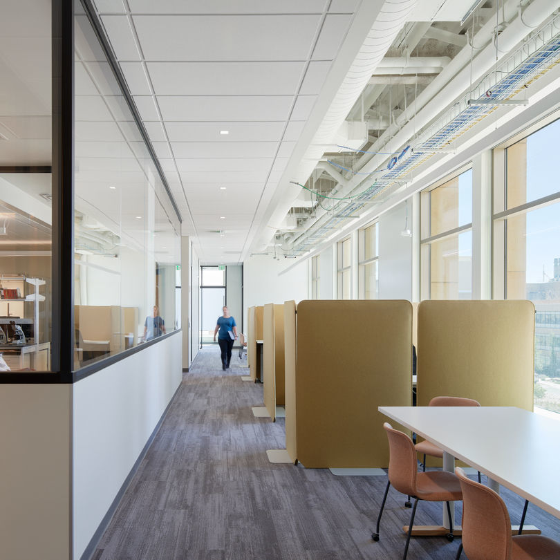 Paravent contemporain - BUZZIFREE - BuzziSpace - en carton / en mousse / en tissu