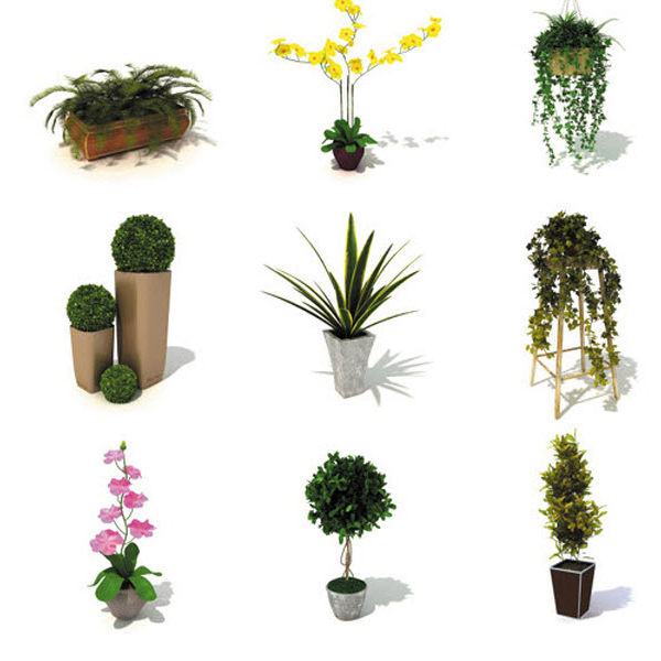 Bibliothèque d'objets 2D/3D - INDOOR PLANTS - DOSCH DESIGN
