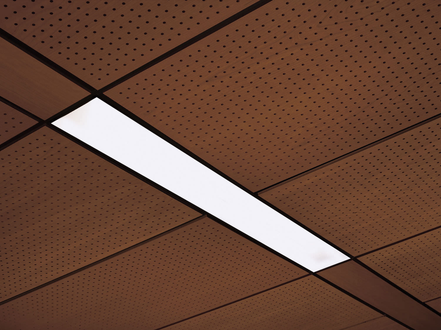Techzone Ceiling Lighting | Shelly Lighting