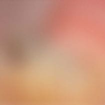 CALICO WALLPAPER : Revêtement de sol & mur - ArchiExpo