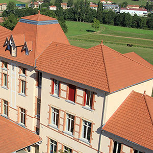 Tuile mécanique - HP 20 - EDILIANS - grand moule / double / en terre cuite