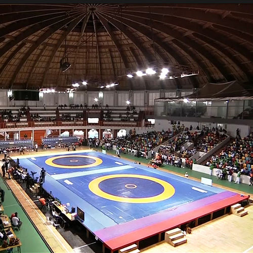 Tapis de lutte - LUTCOM - Modugame - MG Sport